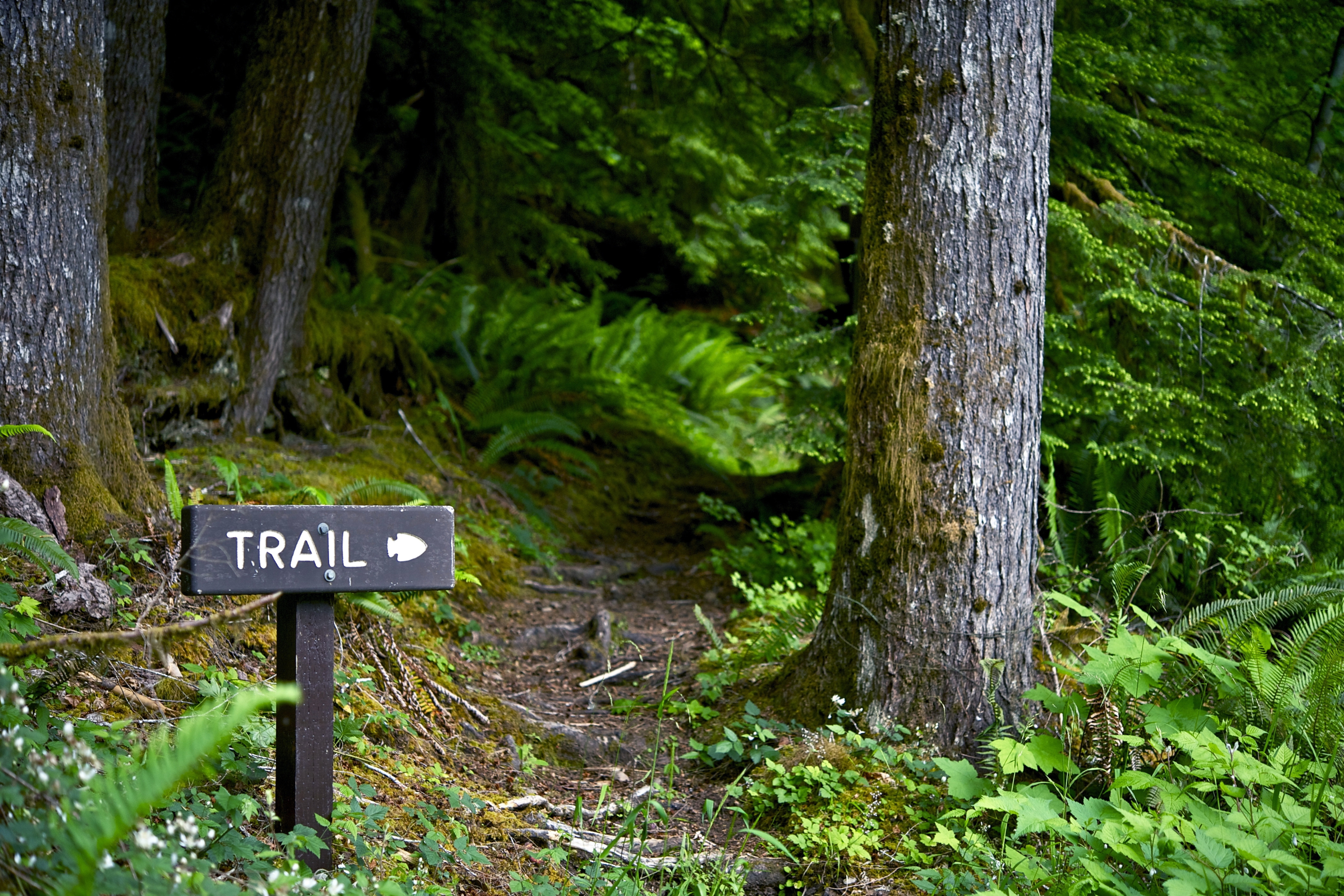 Trails | Town of Midland
